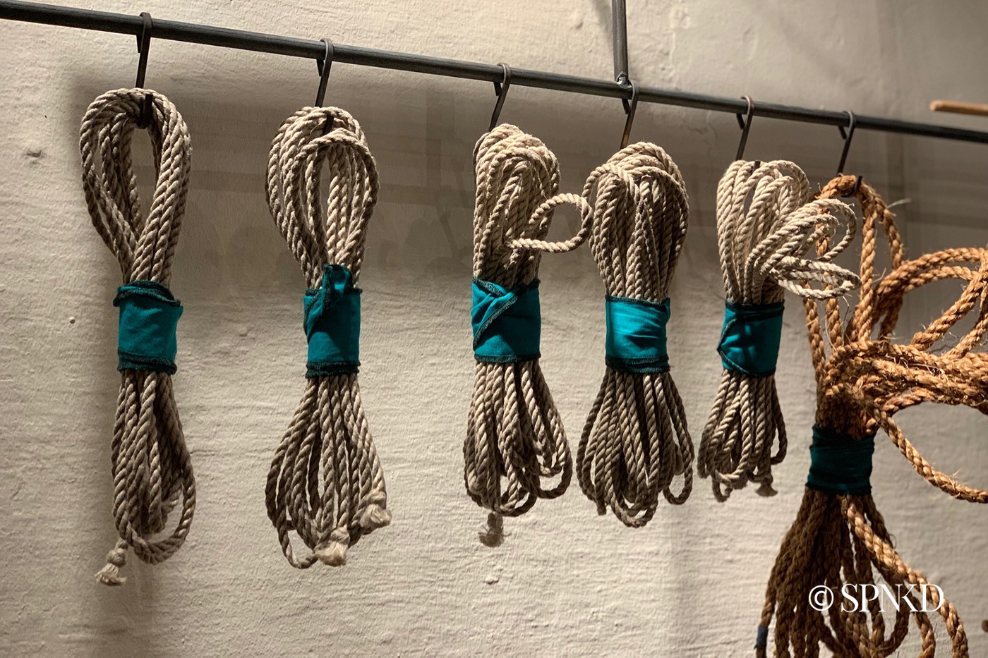 Learning The Ropes: A Bondage Basic - SPNKD